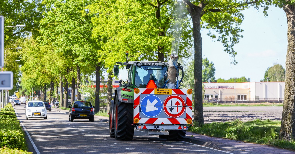 Overlast melden van eikenprocessierups in Dalfsen