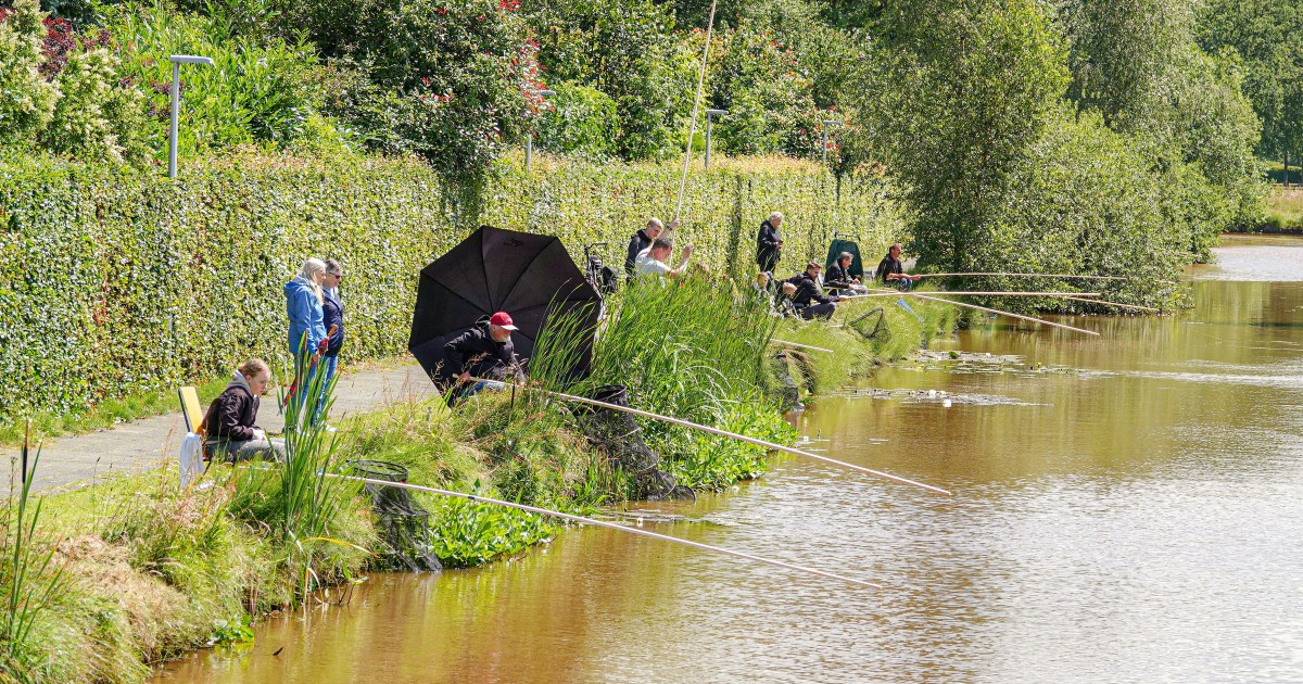 Voor het eerst ‘panlatvissen’ bij De Voorn in Nieuwleusen